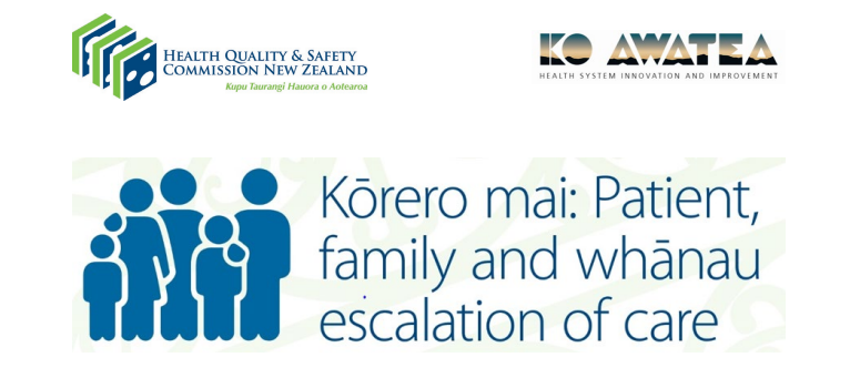 Kōrero mai site case studies (July 2017–November 2020) | Health Quality ...