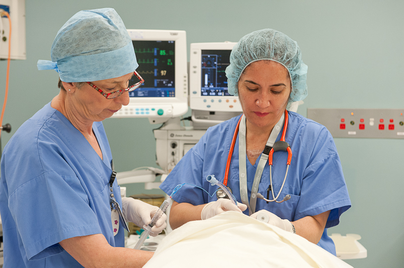 Healthcare-associated infection Severity Assessment Code (SAC) examples ...