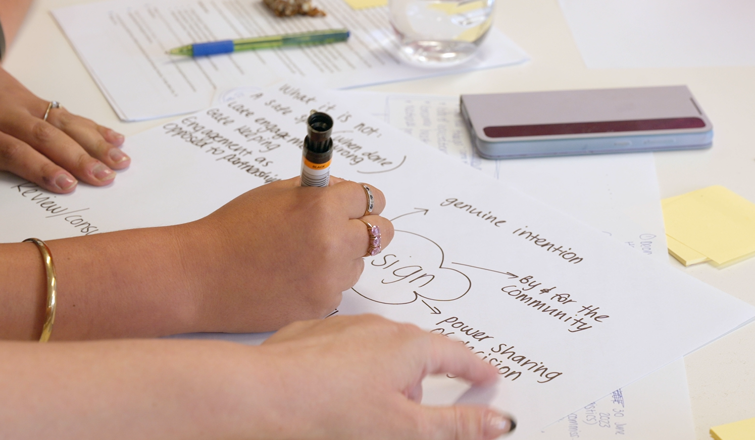 Elevate the voice of consumers and whānau on Aotearoa Patient Safety ...