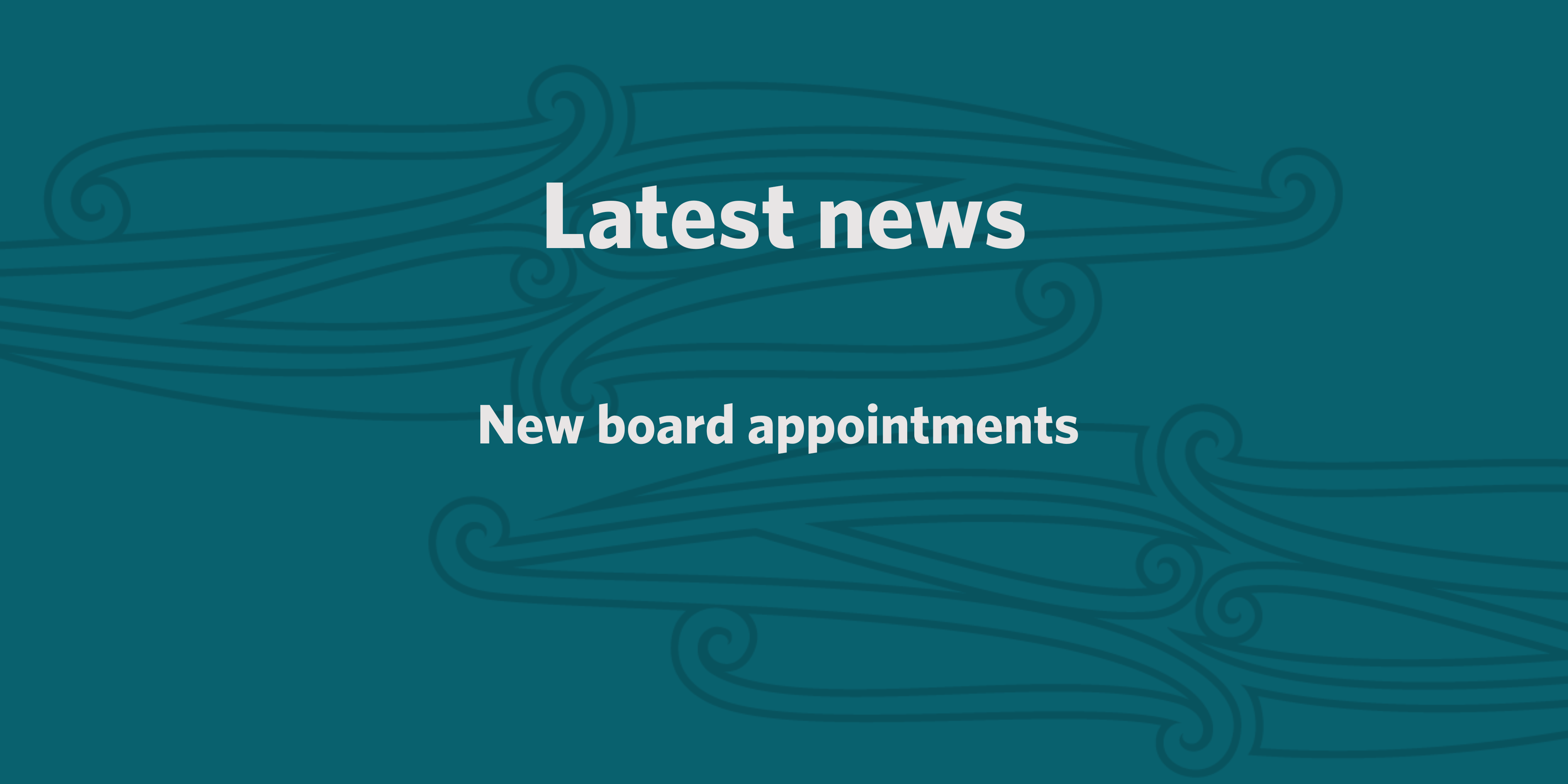 New board members appointed | Health Quality & Safety Commission Te ...