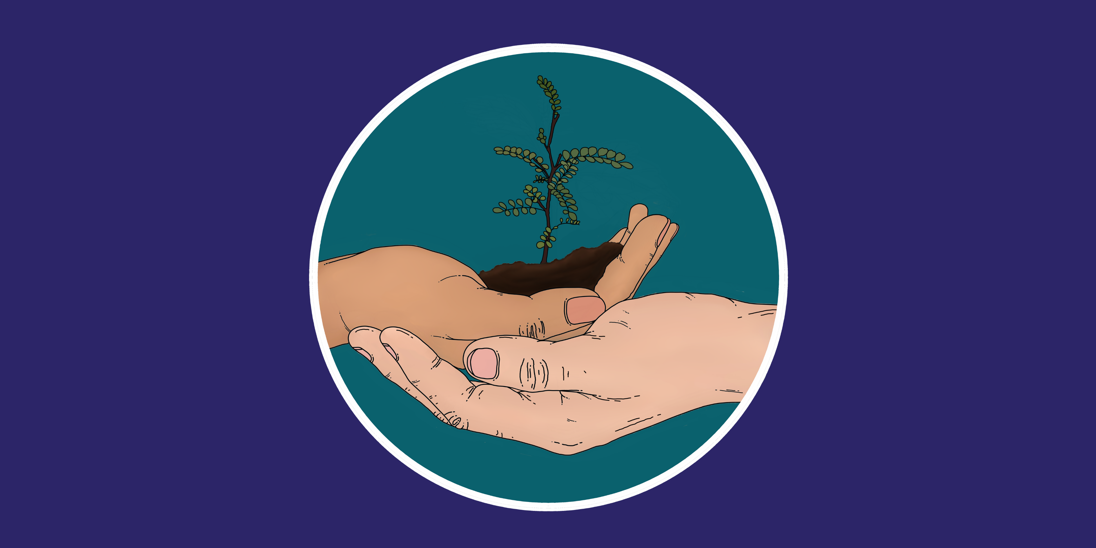Welcome to Ō Mātou Reo: Our Voices 2025 | Health Quality & Safety ...